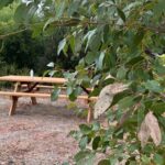 Flinders Chase Private Luxury Tour - Why This Tour Offers Great Value