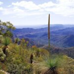 Flinders Ranges 5-Day Small Group 4WD Eco Tour from Adelaide - What’s Included and What’s Not