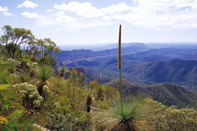 Flinders Ranges 5-Day Small Group 4WD Eco Tour from Adelaide - What’s Included and What’s Not