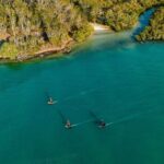 Fliteboard eFoil Group Experience in Noosa - The Highlight: Stunning Scenery and Wildlife