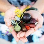 Foraging Food Tour Sydney Native Aussie Food - Authentic Experiences and Honest Impressions