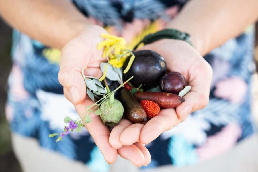 Foraging Food Tour Sydney Native Aussie Food - Authentic Experiences and Honest Impressions