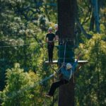 Forest Adventures - Practical Details & Tips
