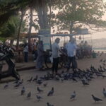 Fort Kochi: Tuk Tuk Kochi Tours  Budget Friendly - FAQs