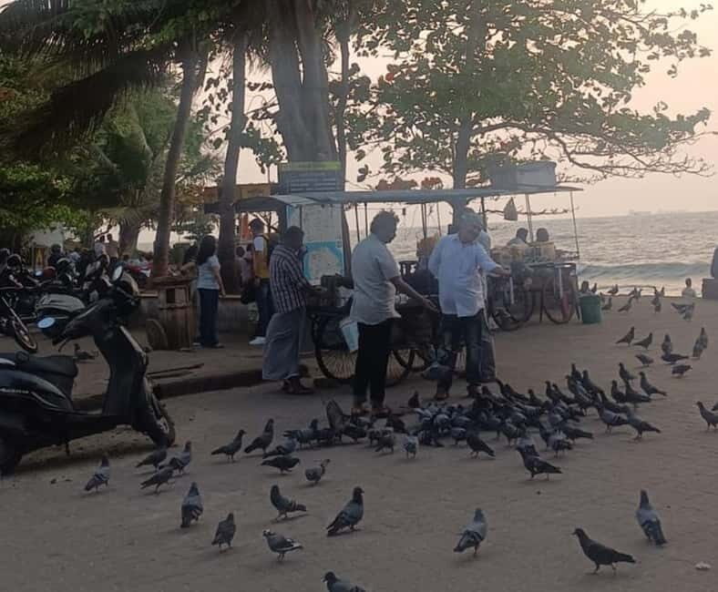 Fort Kochi: Tuk Tuk Kochi Tours  Budget Friendly - FAQs