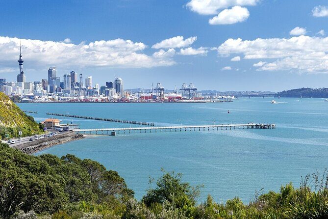 Four Hour Private Auckland Sightseeing Tour - What the Reviews Say