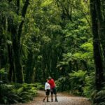 Fox Glacier Nature Tour - Final Thoughts