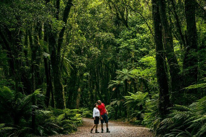 Fox Glacier Nature Tour - Final Thoughts