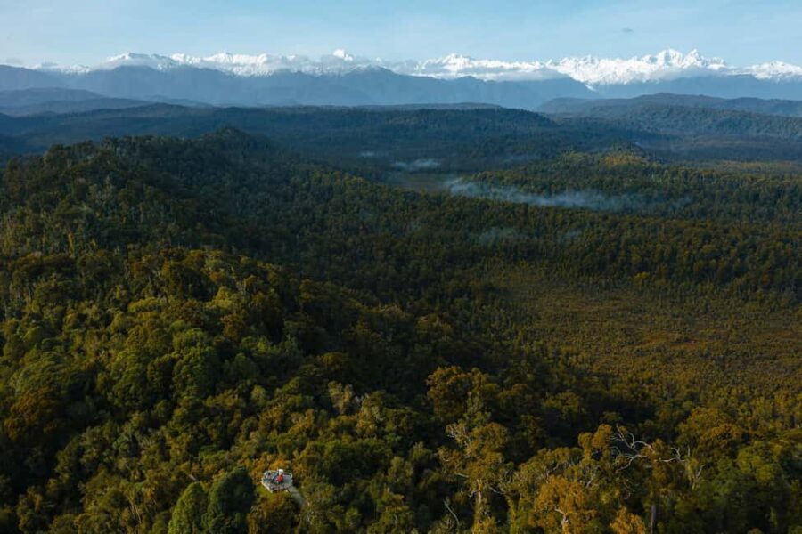 Franz Josef: Half-Day Guided Tour to Okarito - An In-Depth Look at the Okarito Guided Tour