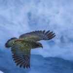 Franz Josef to Christchurch 1-Way Small Group Tour via Hokitika - The Itinerary in Detail