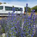 Franz Josef to Christchurch via Hokitika (1 way) - Who is this tour for?