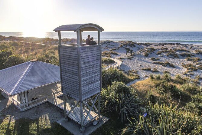 Franz Josef to Wanaka Small-Group Tour (One-Way) Includes Lunch - Ship Creek Walks: Ocean Dunes and Coastal Dwellings