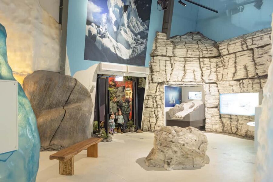 Franz Josef: West Coast Wildlife Centre Entry Ticket - Exploring the Main Attractions