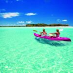 Fraser Island (K'gari): Remote Island and Whale Experience - Who Will Love This Tour?