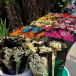 Free E-Sim Saigon Hidden Gems Tour with Local Guide - Authentic Reviews: What Participants Say
