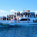 Freedom 3/4 Day Hervey Bay Premium Whale Watching Cruise - Why This Tour Offers Value and Authenticity