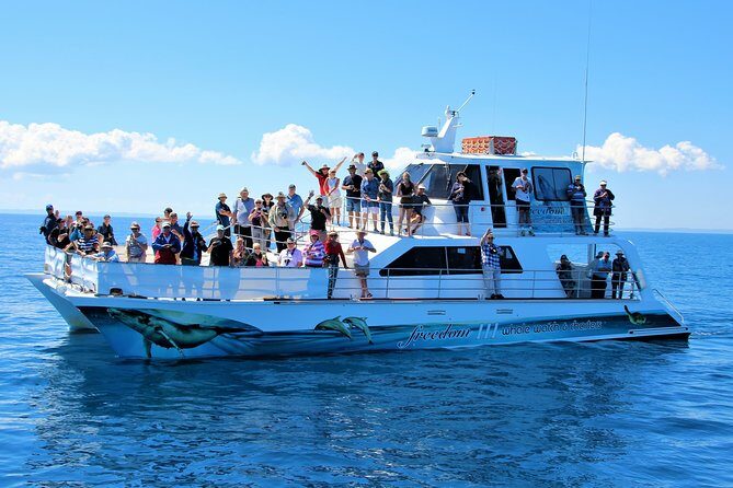 Freedom 3/4 Day Hervey Bay Premium Whale Watching Cruise - Why This Tour Offers Value and Authenticity