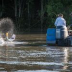 Freshwater or Saltwater Barramundi Fishing Day Trip from Darwin - Who Should Consider This Tour?
