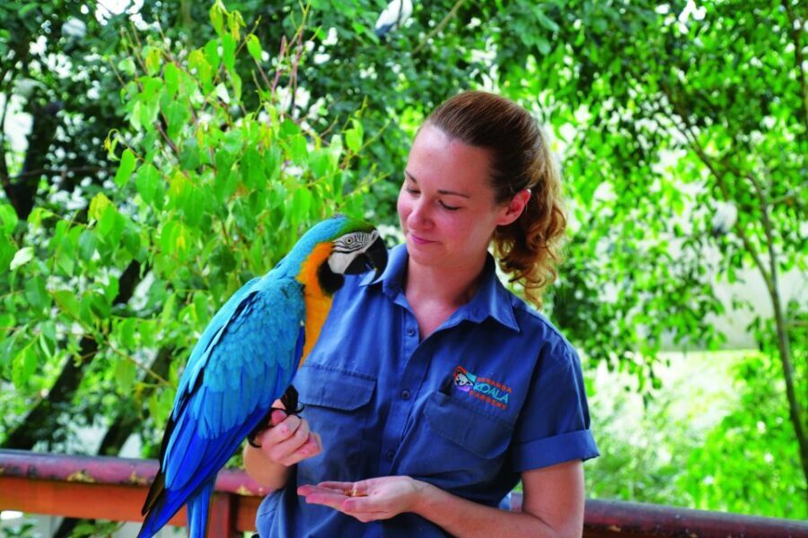 Friends in the Rainforest Package: Koala Gardens & Birdworld - Who Should Consider This Tour?