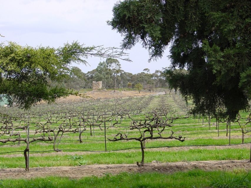 From Adelaide: Clare Valley Winery Tour - Who Is This Tour Best For?
