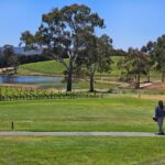 From Adelaide: Cuddle a Koala and Historic Hahndorf Tour - Exploring the Wildlife Park Experience