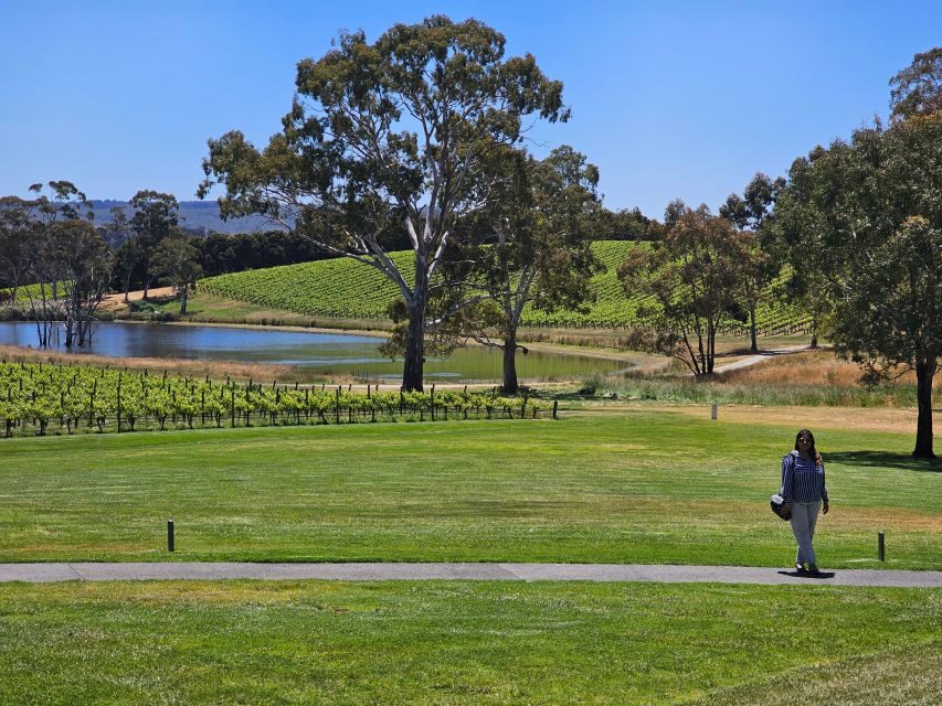 From Adelaide: Cuddle a Koala and Historic Hahndorf Tour - Exploring the Wildlife Park Experience