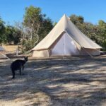 From Adelaide: Kangaroo Island Epic 2-Day Small Group Tour - Unique Accommodation and Evening Atmosphere