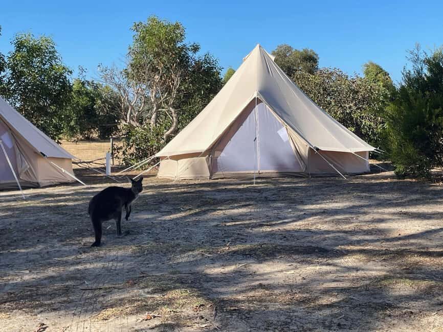 From Adelaide: Kangaroo Island Epic 2-Day Small Group Tour - Unique Accommodation and Evening Atmosphere