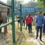 From Agra: Visit to Wildlife SOS Elephant Conservation Trip - The Value of Your Visit