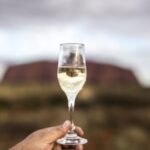 From Alice Springs: Day Trip to Uluru with BBQ Dinner - Who Will Love This Tour?