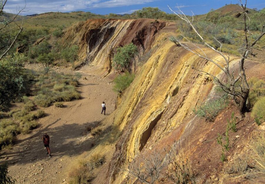 From Alice Springs: West MacDonnell Ranges Day Trip - The Sum Up