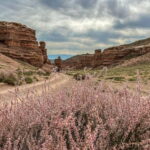 From Almaty: Charyn Canyon Full-Day Trip with Boxed Lunch - Practical Tips for Your Trip