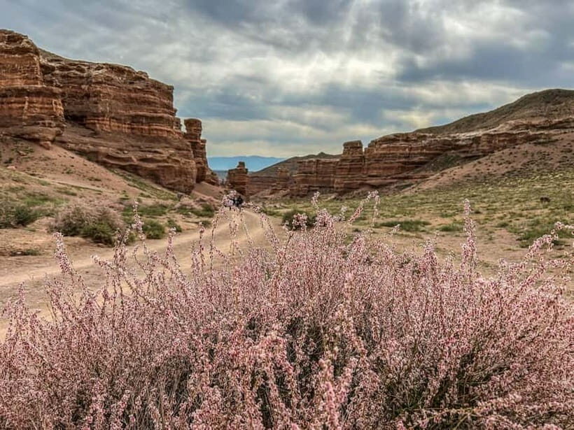 From Almaty: Charyn Canyon Full-Day Trip with Boxed Lunch - Practical Tips for Your Trip
