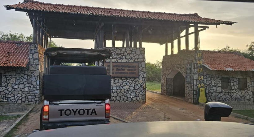 From Around Tangalle: Half-Day Yala Safari Private Tour(M/E) - What Makes This Safari Stand Out
