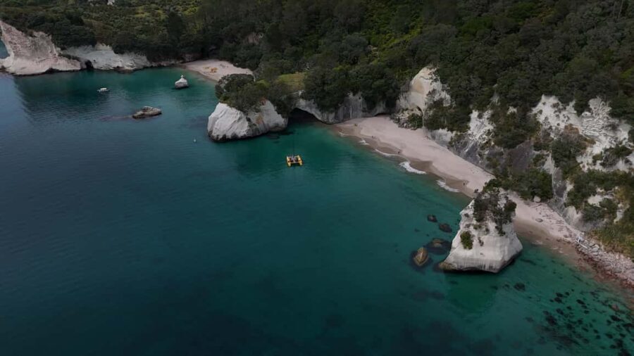 From Auckland: ALDERMAN ISLANDS (Ruamaahu) Day Trip - An In-Depth Look at the Alderman Islands Day Trip