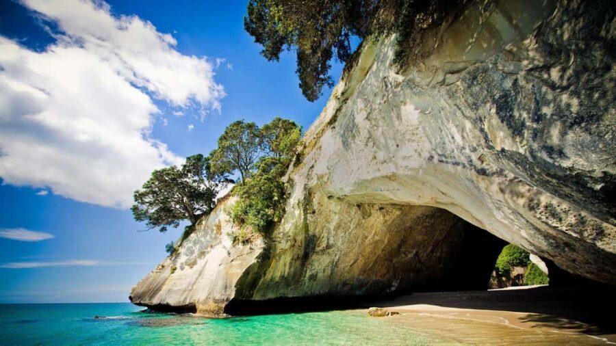 From Auckland: Cathedral Cove & Hot Water Beach Tour - Transportation and Comfort