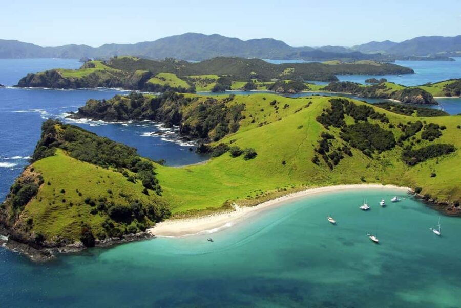 From Auckland: Full-Day Tour to the Bay of Islands - What’s Included and What’s Not