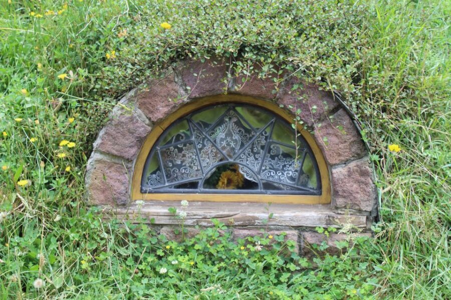 From Auckland: Hobbiton Afternoon Tour - What Sets This Tour Apart