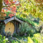 From Auckland: Hobbiton and Waitomo Day Tour with Lunch - The Value of the Experience