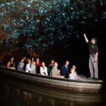 From Auckland: Hobbiton Movie Set and Waitomo Caves Tour - The Itinerary in Detail