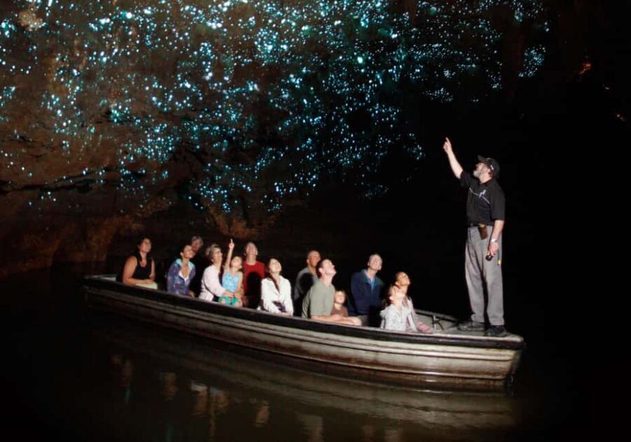 From Auckland: Hobbiton Movie Set and Waitomo Caves Tour - The Itinerary in Detail