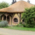 From Auckland: Hobbiton & Rotorua Tour with Lunch at Te Puia - The Journey Begins: Pickup and Transportation