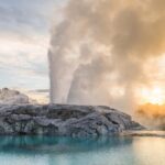 From Auckland: Rotorua's Geothermal Experience Private Tour - Analyzing the Value
