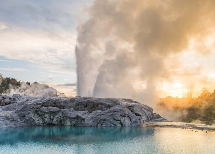 From Auckland: Rotorua's Geothermal Experience Private Tour - Analyzing the Value