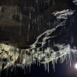 From Auckland : Spellbound Glow Worm Twin Caves Private Tour - What makes this tour stand out?