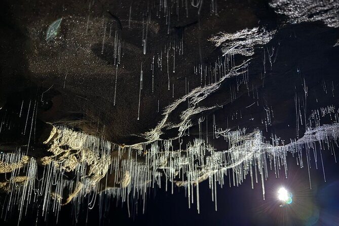 From Auckland : Spellbound Glow Worm Twin Caves Private Tour - What makes this tour stand out?