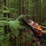 From Auckland to Rotorua Waiotapu and Activity Combinations - Why This Tour Offers Good Value