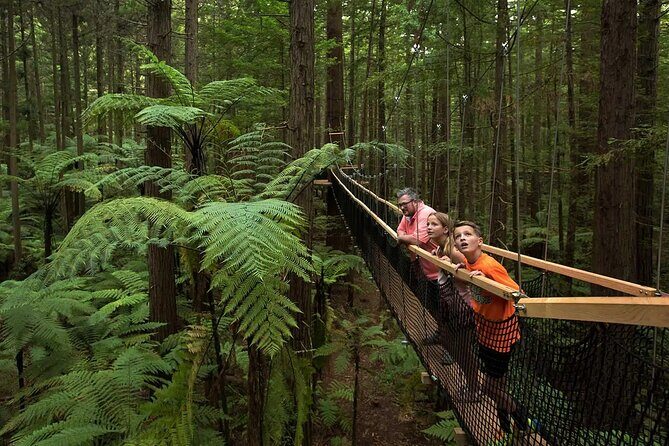 From Auckland to Rotorua Waiotapu and Activity Combinations - Why This Tour Offers Good Value