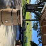 From Auckland: Waiheke Island Wine Cellar Tour - The Itinerary: What to Expect