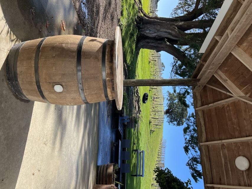 From Auckland: Waiheke Island Wine Cellar Tour - The Itinerary: What to Expect